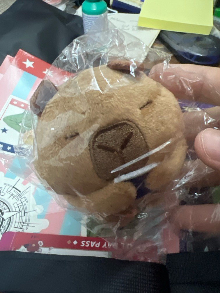 ZUS Capybara Plushie Pin, Hobbies & Toys, Collectibles & Memorabilia ...