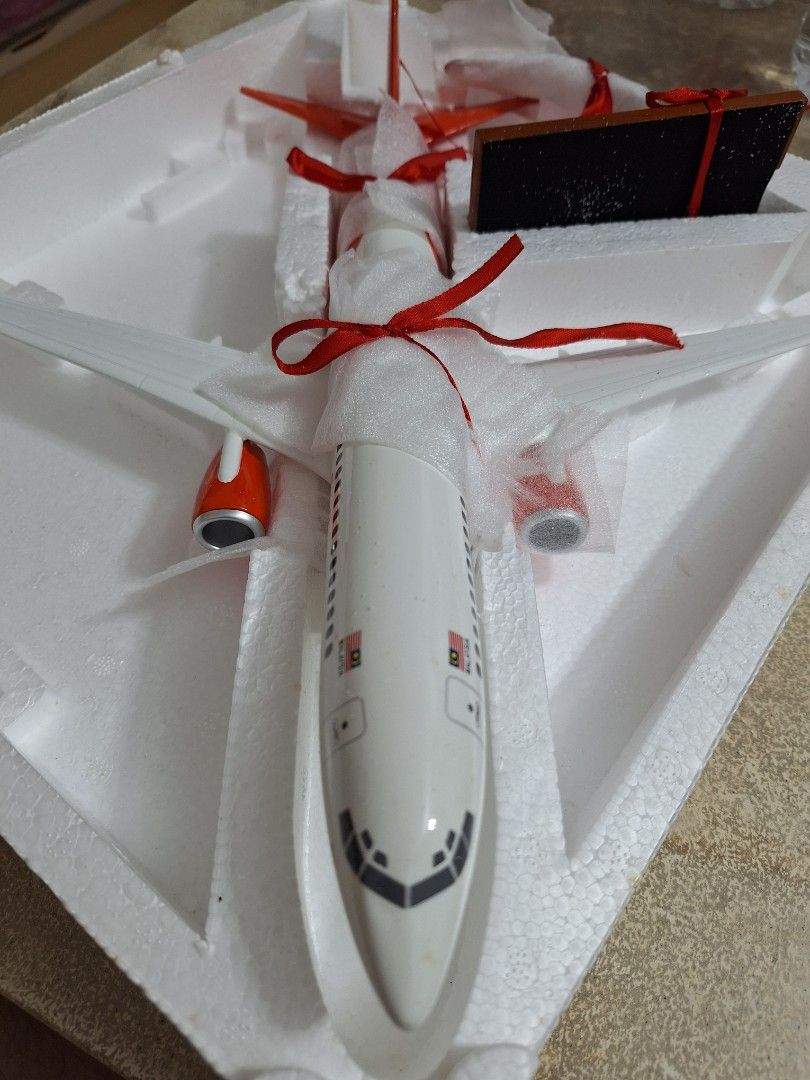 Firefly plane model B737-800. Scale 1:100, Hobbies & Toys, Collectibles ...