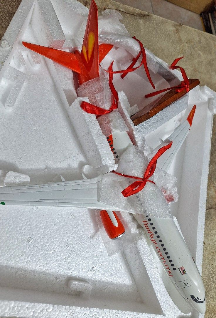 Firefly plane model B737-800. Scale 1:100, Hobbies & Toys, Collectibles ...