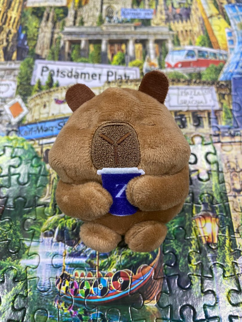 Zus X Capybara Plushie Pin, Hobbies & Toys, Collectibles & Memorabilia ...