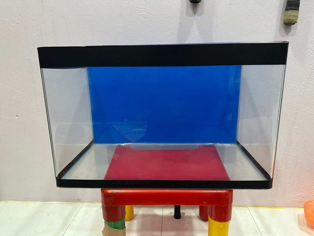 Aquarium/tank - curved tank, Pet Supplies, Homes & Other Pet ...