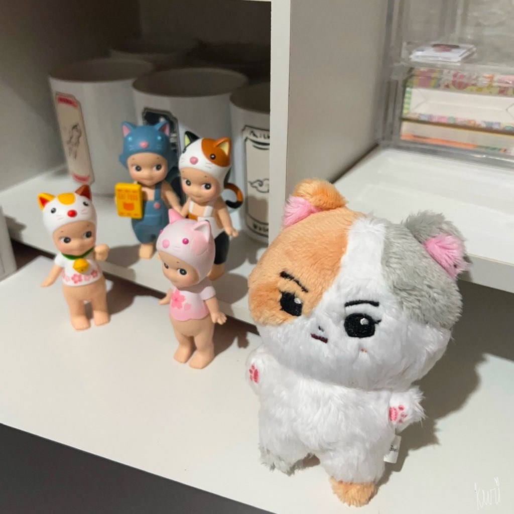 enhypen jungwon 10cm doll by en_nimalz, Hobbies & Toys, Memorabilia ...