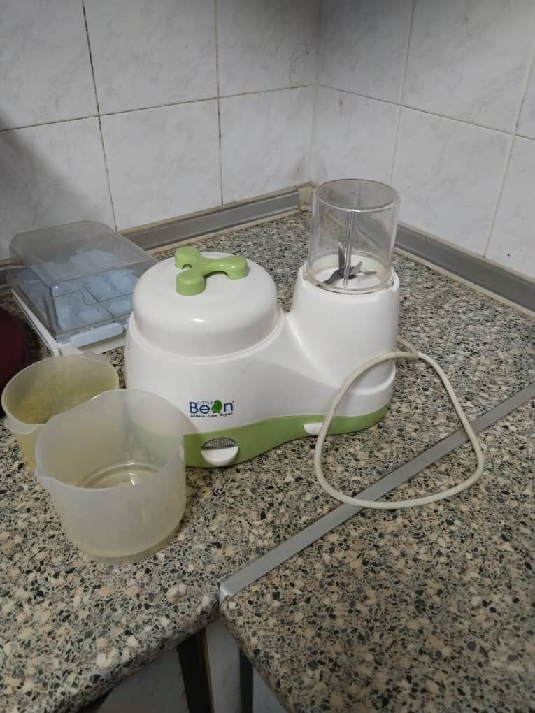 Little Bean Multi Function Baby Food Processor, Babies & Kids, Nursing ...