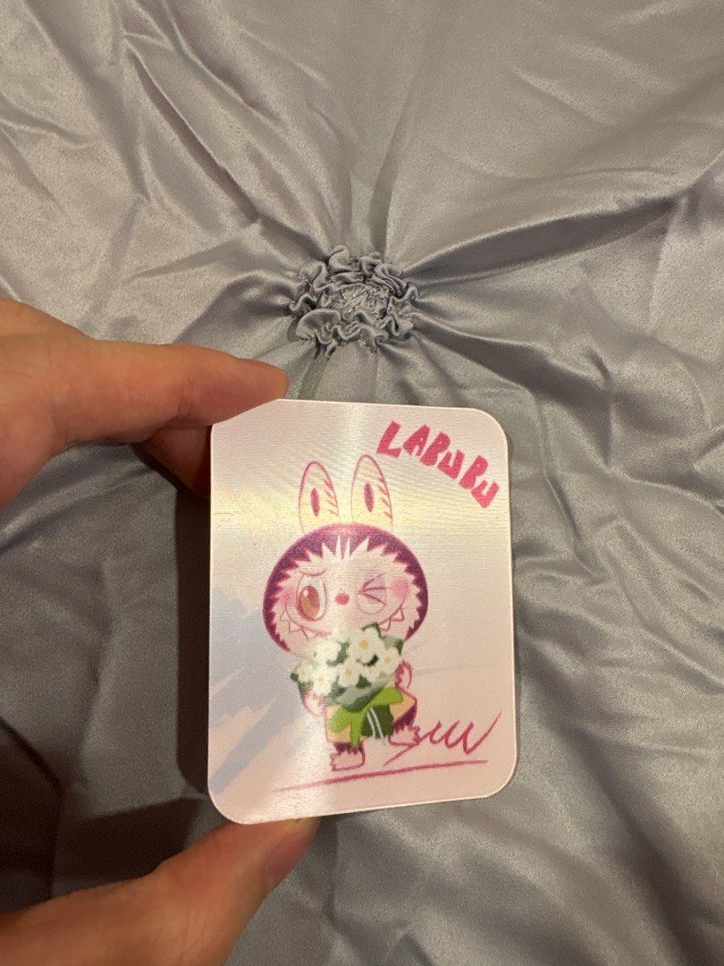 Popmart labubu reverse secret pouch, Hobbies & Toys, Toys & Games on ...