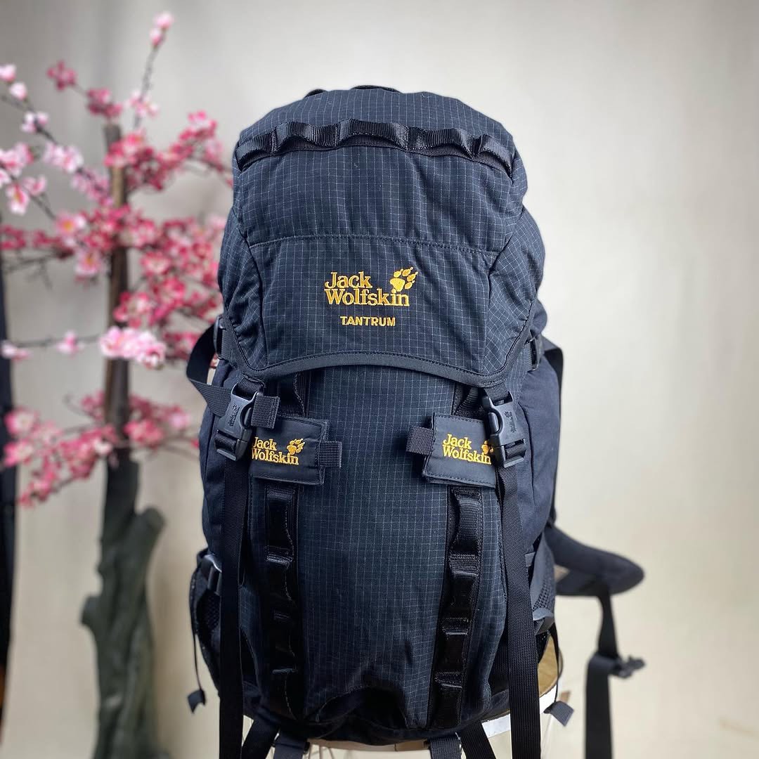 Tas backpack JACK WOLF SKIN, Fesyen Pria, Tas & Dompet , Ransel di ...