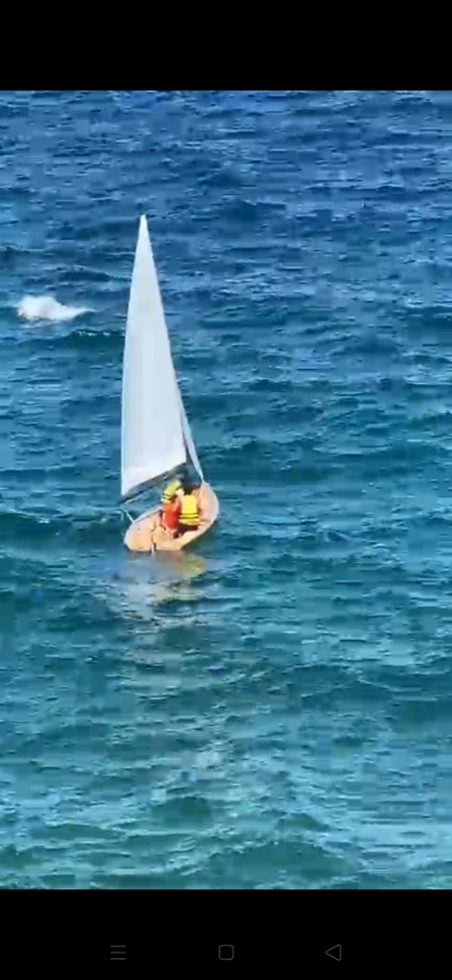 laser pico sail boat, Special Vehicles, Boats and Aircrafts on Carousell