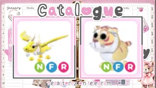 Adopt Me! (NFR pets take all RM10 only), Video Gaming, Gaming ...