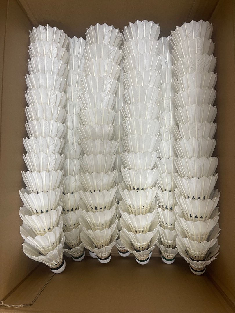 Badminton Shuttle (2nd Hand), Sports Equipment, Sports & Games, Racket ...