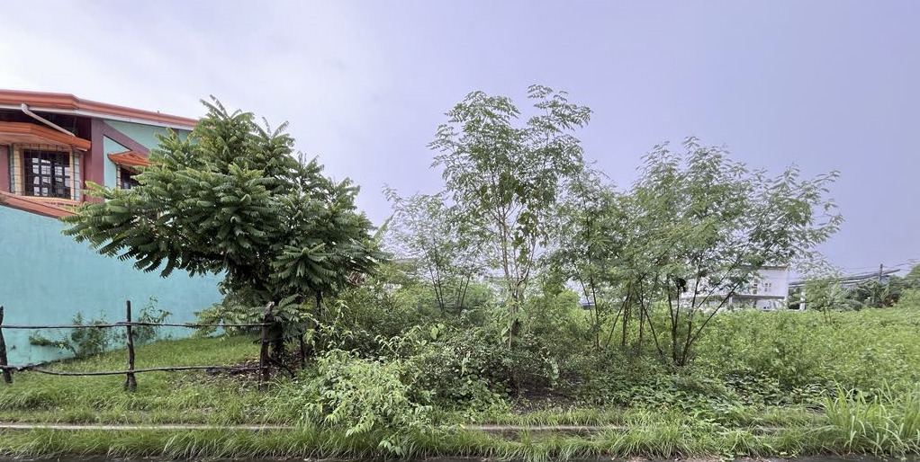 Own 2 prime adjacent lots for sale in South Plains Executive Village ...