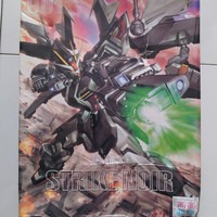 MG Model Kit Strike Noir 1/100 Hongli Master Grade, Toys & Collectibles ...