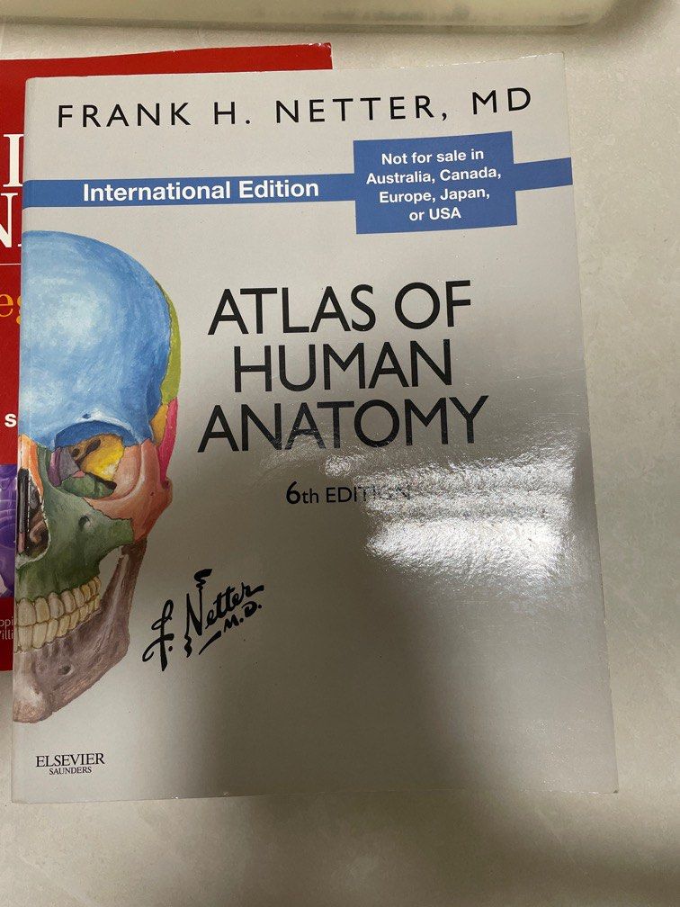 Atlas of Human Anatomy 6th Edition Frank H. Netter, Hobbies & Toys ...