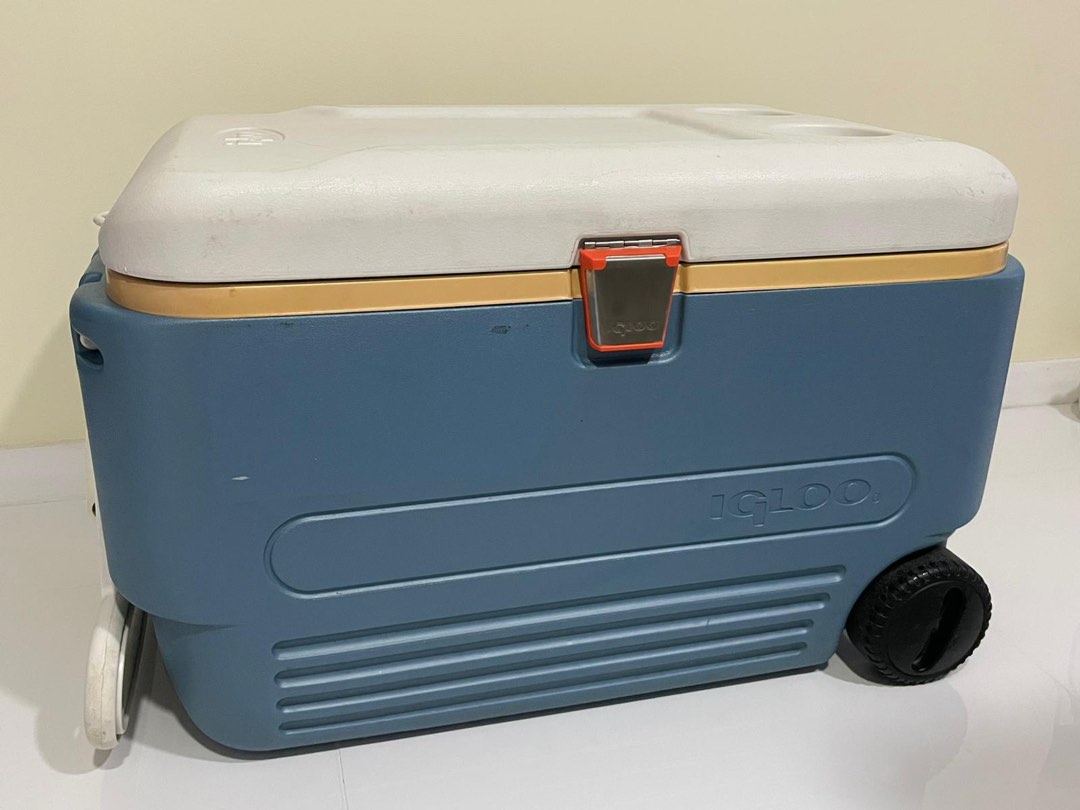 IGLOO Cooler box, Furniture & Home Living, Outdoor Furniture on Carousell