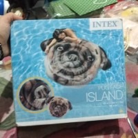 Intex Pig Face Island 1.73 x 1.3m Pelampung unik model Buldog, Olah ...