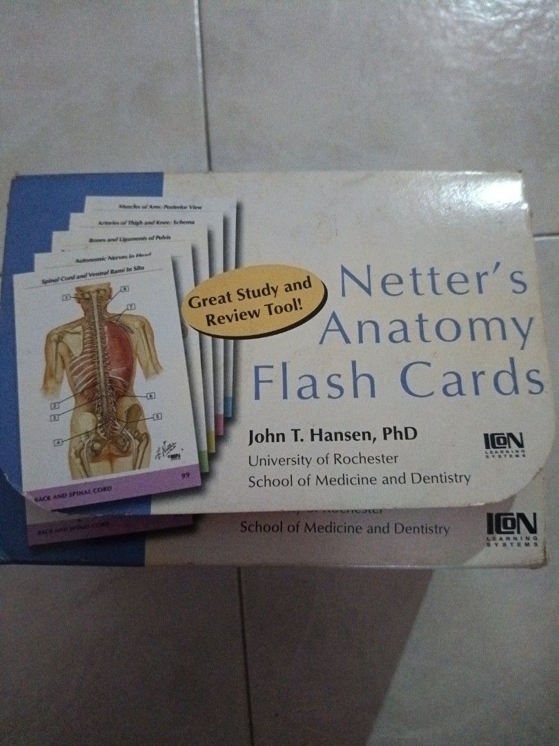 Netter Anatomy flash card - medical book, Hobbies & Toys, Books ...