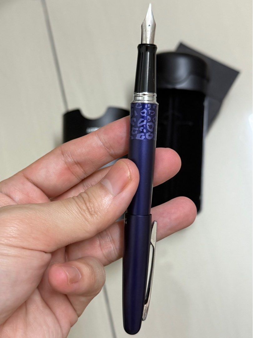 Pilot Signature Fountain Pen, Hobbies & Toys, Stationery & Craft, Other ...
