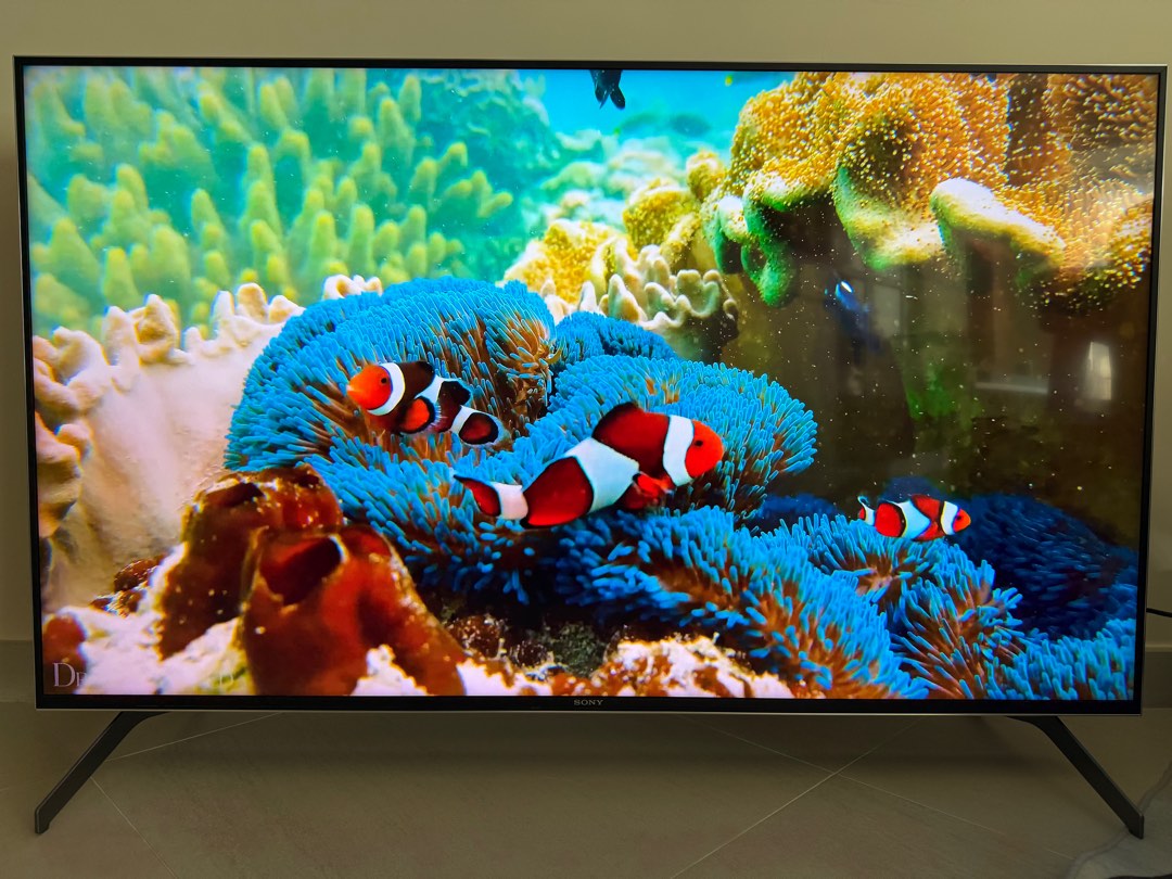 Sony 55吋電視 KD-55x9000H, 家庭電器, 電視 & 其他娛樂, 電視 - Carousell