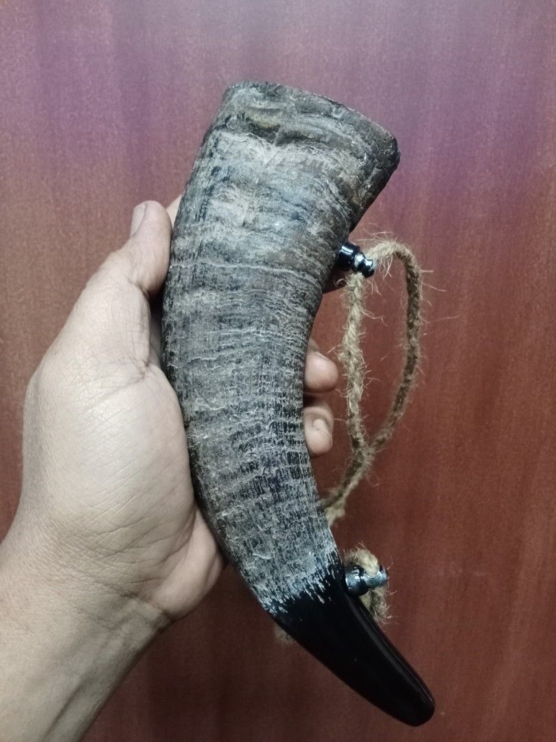 Tetuang tradisional tanduk kerbau, Hobbies & Toys, Collectibles ...