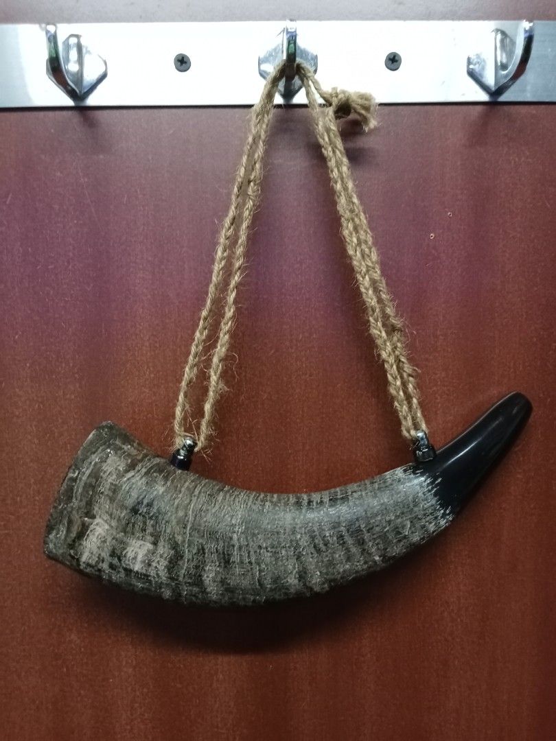 Tetuang tradisional tanduk kerbau, Hobbies & Toys, Collectibles ...