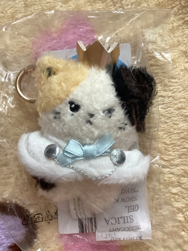 zerobaseonexlinefriends zb1 zeroni Rinini 小王子斗篷keychain Ricky(現貨）, 興趣及 ...