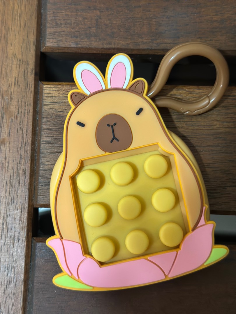 Capybara mini Pop IT and maze, Hobbies & Toys, Toys & Games on Carousell
