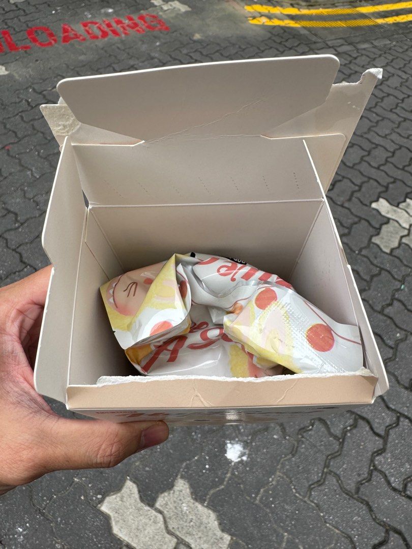 Popmart V2 Labubu Dada., Hobbies & Toys, Toys & Games on Carousell