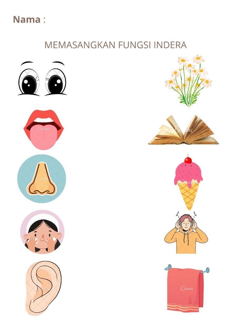 Worksheet anak, mewarnai, Buku & Alat Tulis, Buku Anak-Anak di Carousell