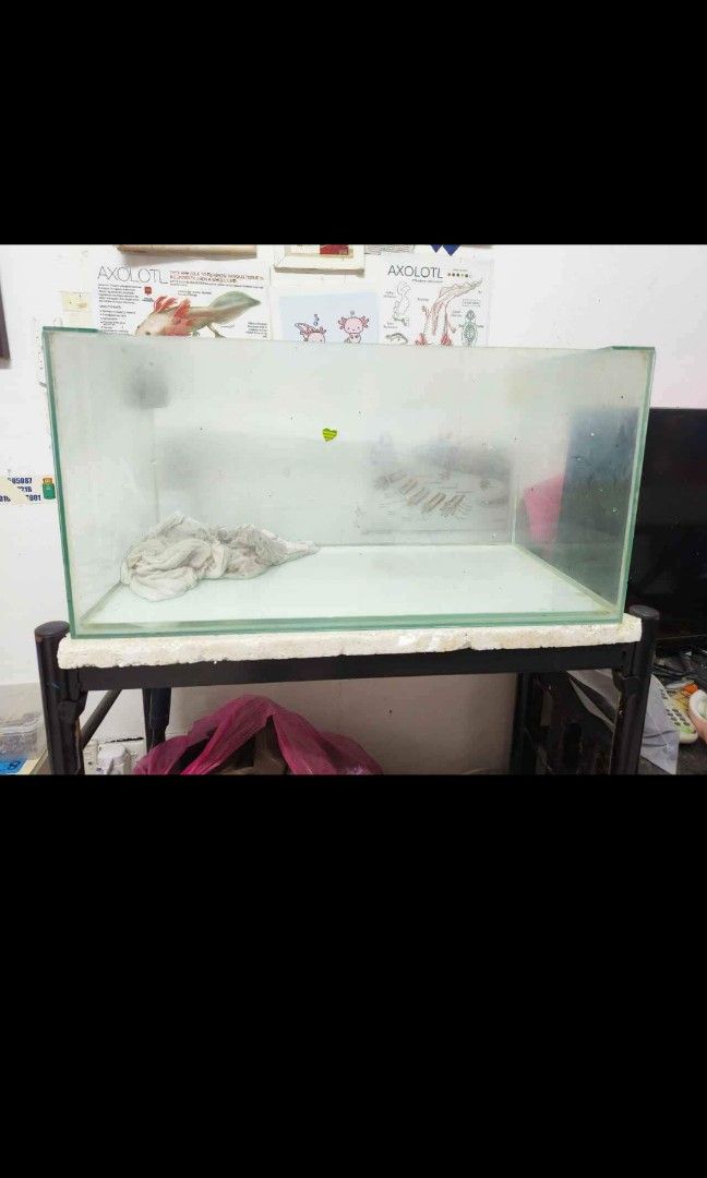 Aquaruim fish tank 1.5feet 60cm x 30cm x 30cm with stand secondhand cod ...