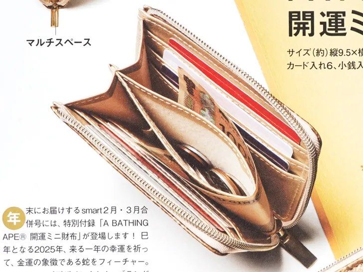 BAPE (A Bathing Ape) - Mini Wallet Snake Pattern Magazine Issue, Women ...