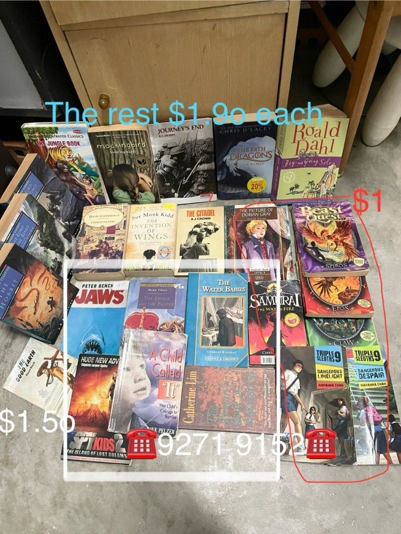 Classic. Book. Holes. Minfong ho. Lord of the Rings. Charles Dickens ...