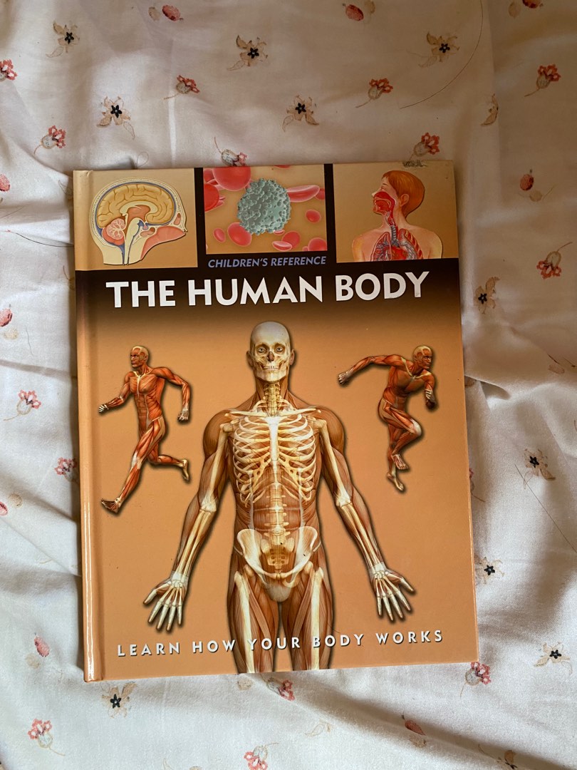 The Human Body Science Book, Hobbies & Toys, Books & Magazines ...