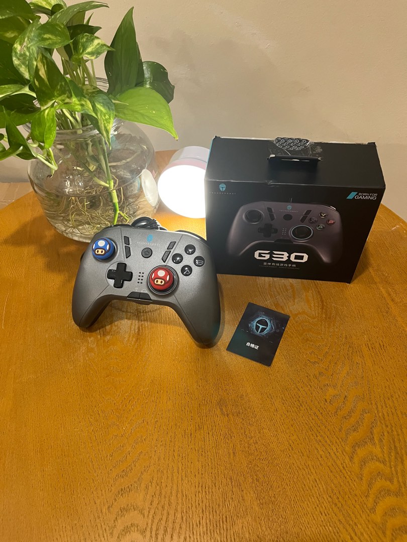 Thunderobot G30 Controller, Video Gaming, Video Game Consoles, Xbox on ...