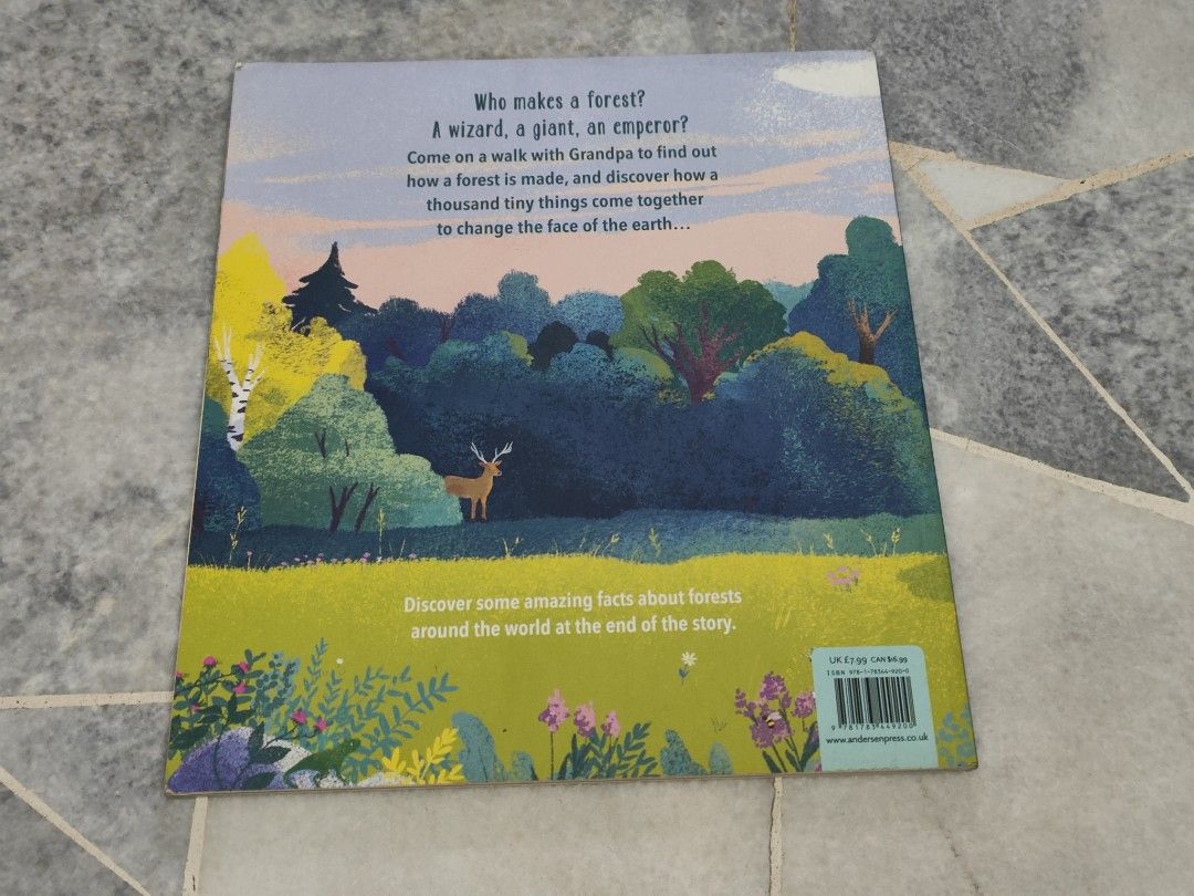 Who Makes a Forest?| Sally Nicholls & Carolina Rabei| Andersen Press ...