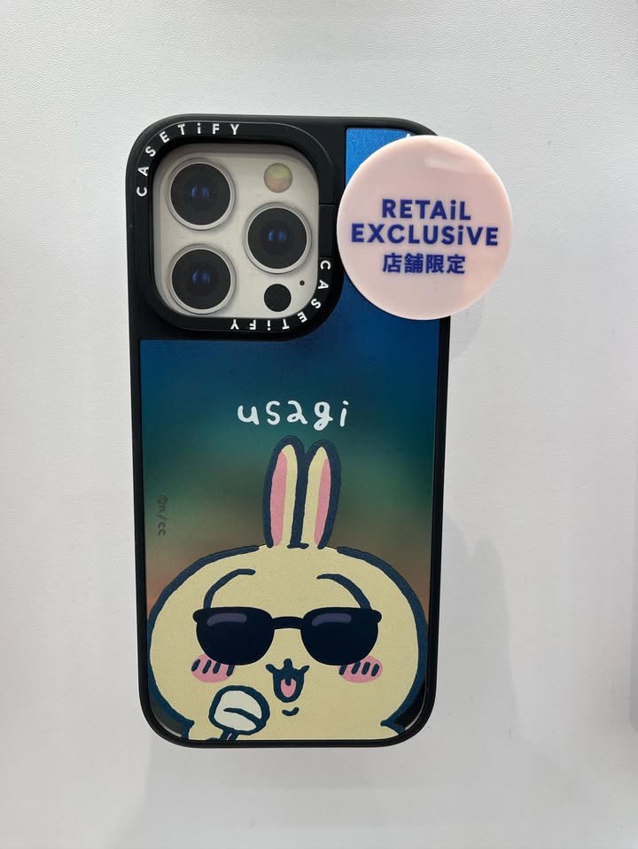 Chiikawa x Casetify Japan Usagi hachiware exclusive flight passport ...
