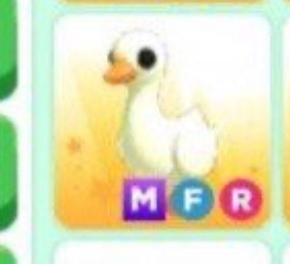 Adopt me MEGA Goose, Video Gaming, Gaming Accessories, In-Game Products ...