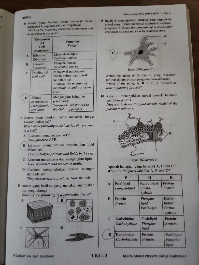 Kertas Model Pra-SPM Tingkatan 4 Fizik, Bio & Kimia, Hobbies & Toys ...