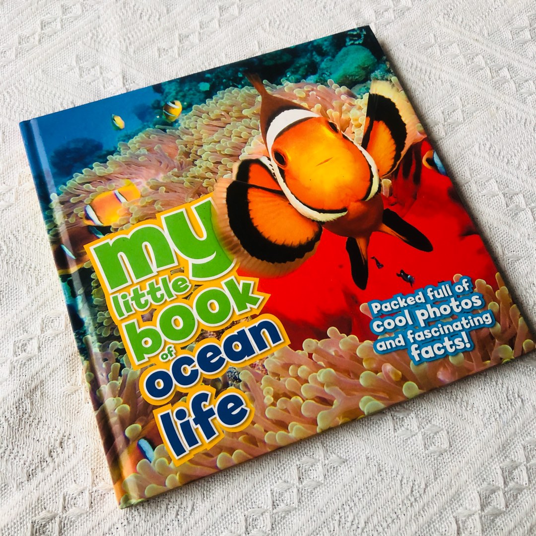 My Little Book of Ocean Life >> Defect, Hobbies & Toys, Books ...