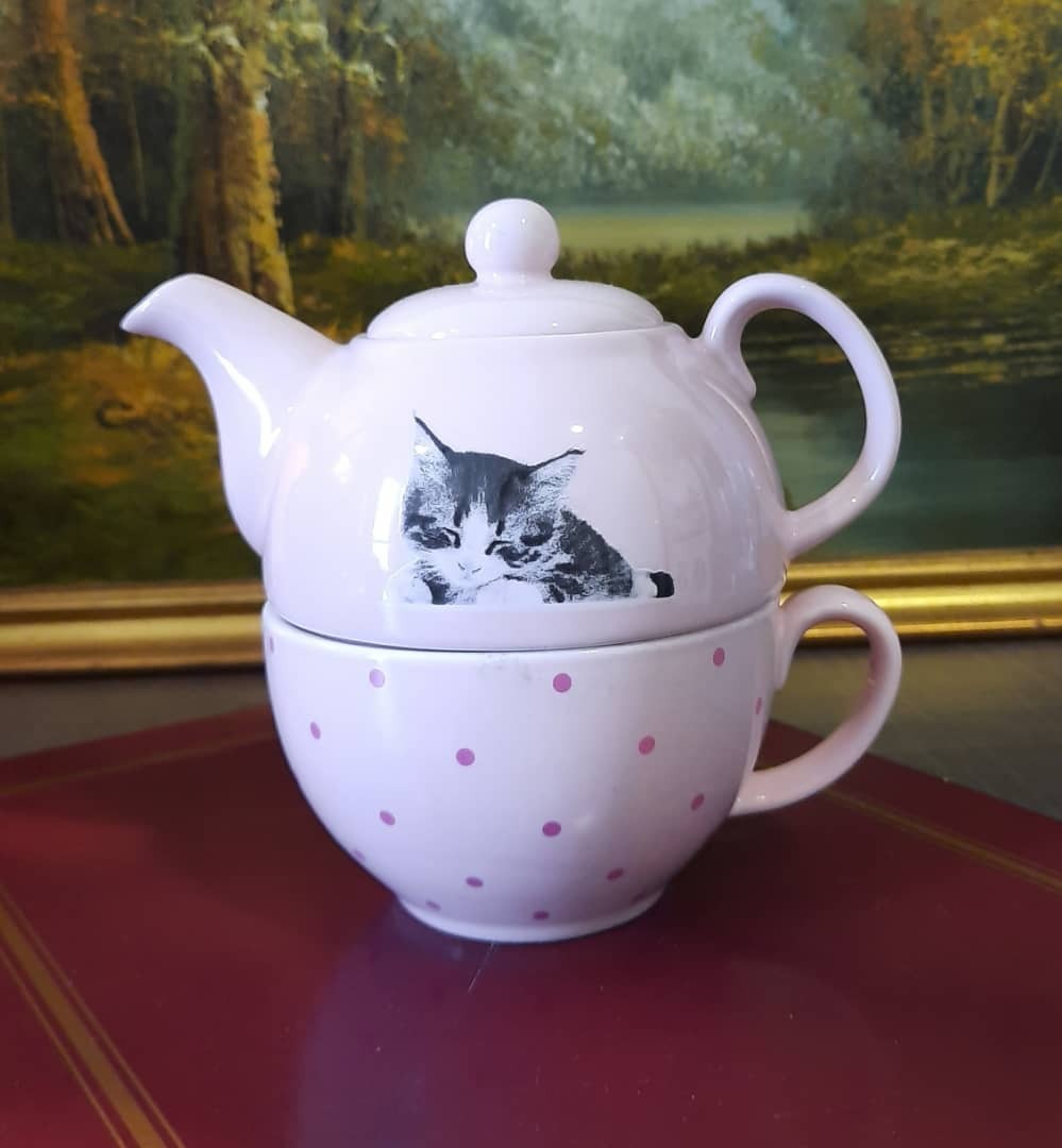 Cat Lovers Teapot For One., Hobbies & Toys, Stationery & Craft, Other ...