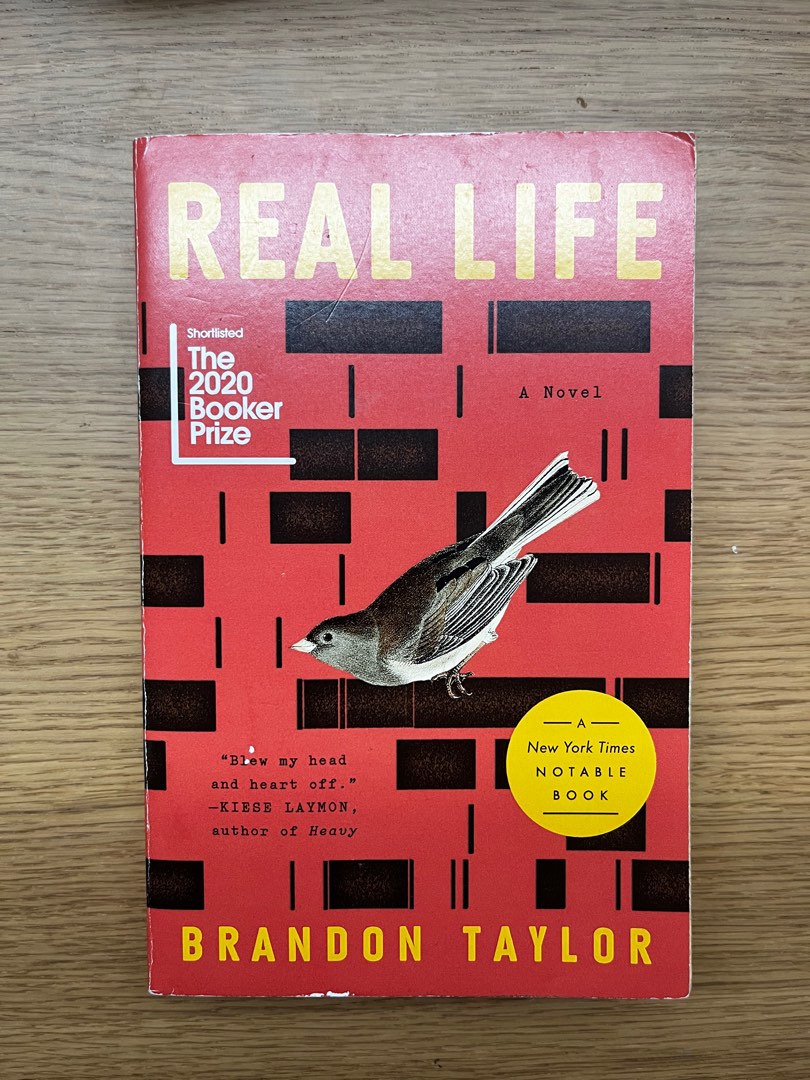 Real Life Brandon Taylor, Hobbies & Toys, Books & Magazines, Fiction ...