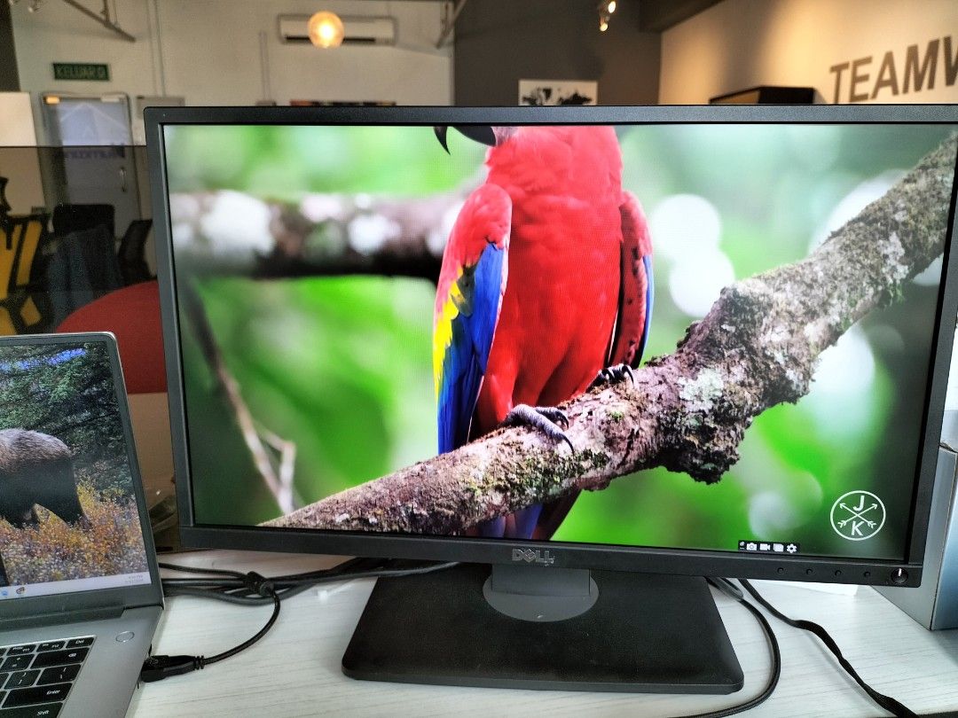 22 inch monitor Dell P2217H FULL HD IPS HDMI DP monitor, Computers ...