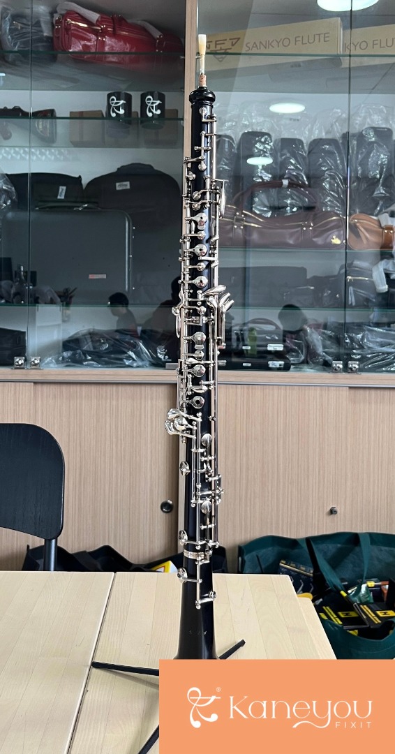 Bulgheroni Oboe FM-101 Intermediate/Semi Pro Model, Hobbies & Toys ...