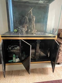 Fish Tank 4ft x 2ft x 2ft, Pet Supplies, Homes & Other Pet Accessories ...