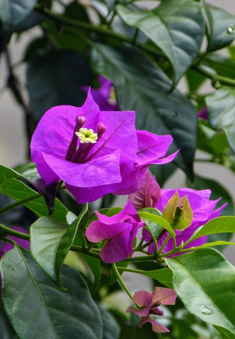 See Sample Photos First Original Kodak CCD Sensor Camera E300 ...