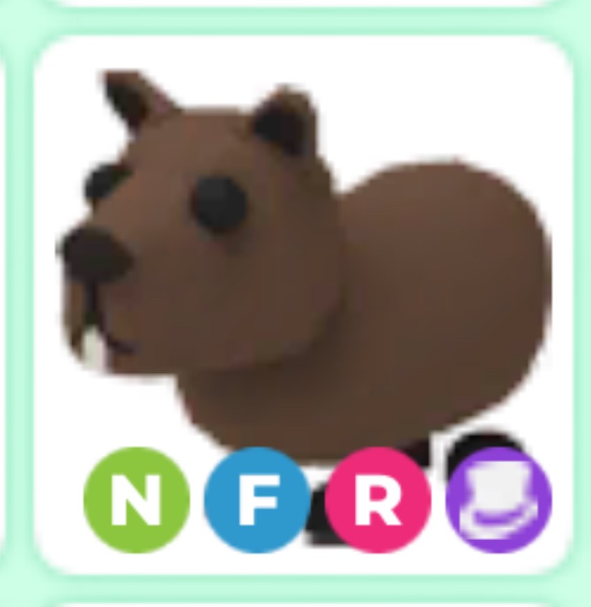 Adopt me NFR Capybara, Video Gaming, Gaming Accessories, In-Game ...