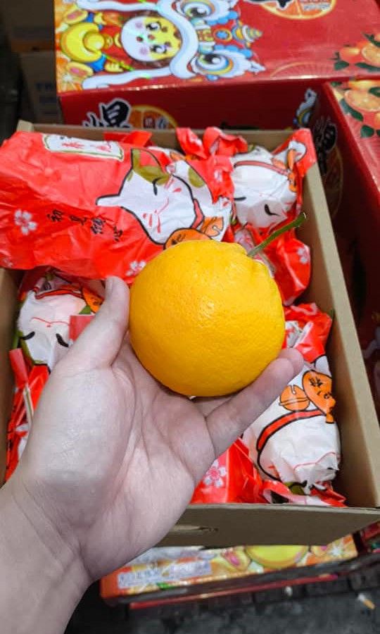 Gift Box - Ugly Ponkan, Food & Drinks, Other Food & Drinks on Carousell