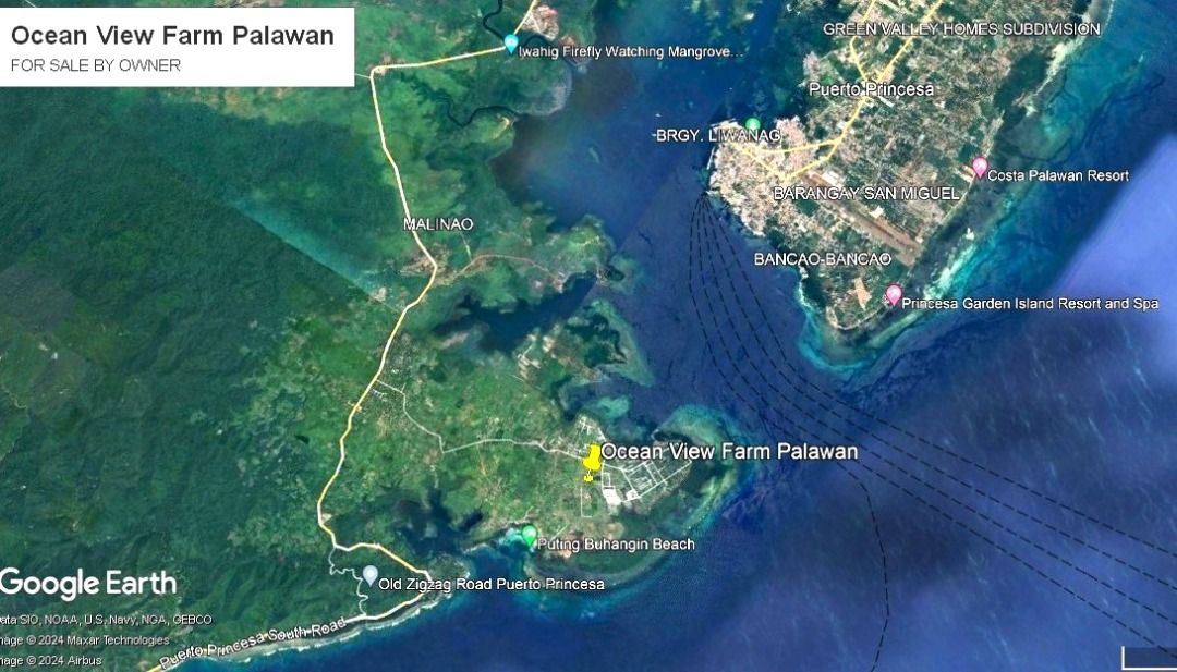 Ocean View Farm on Palawan's Spectacular Coastline!, Property, For Sale ...