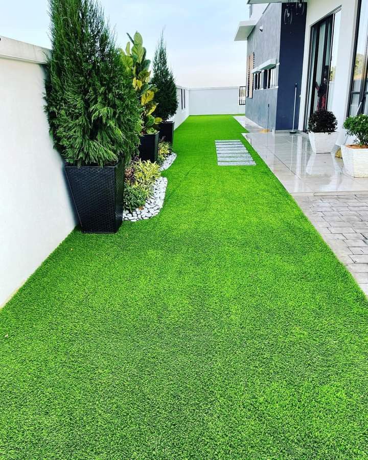 Tanam rumput potong rumput, Everything Else, Others on Carousell