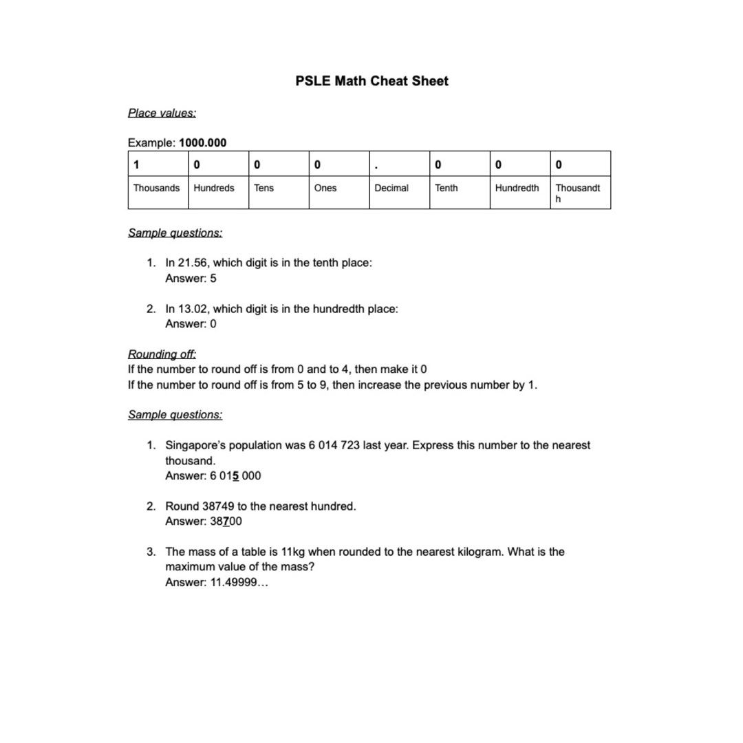 TOP RAFFLES STUDENT PSLE MATH PACKAGE [Top Student's Notes, Practices ...
