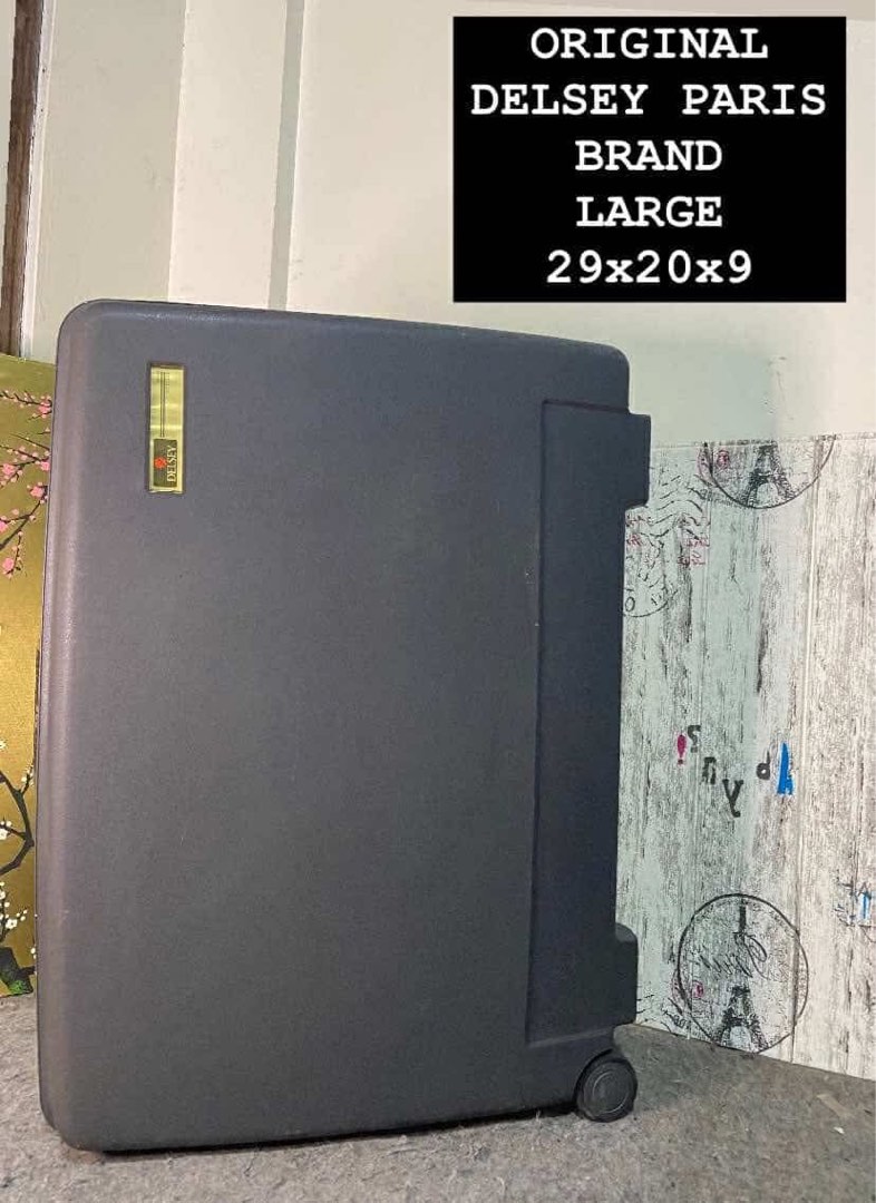 DELSEY BRAND LARGE SIZE LUGGAGE, Hobbies & Toys, Travel, Luggage on ...
