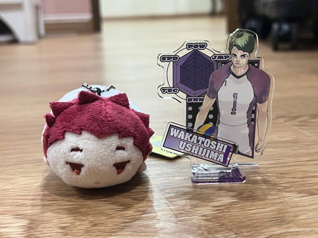Haikyuu Tendo Satori Ushijima Wakatoshi Keychain Plushie Standee Set Hobbies And Toys Toys