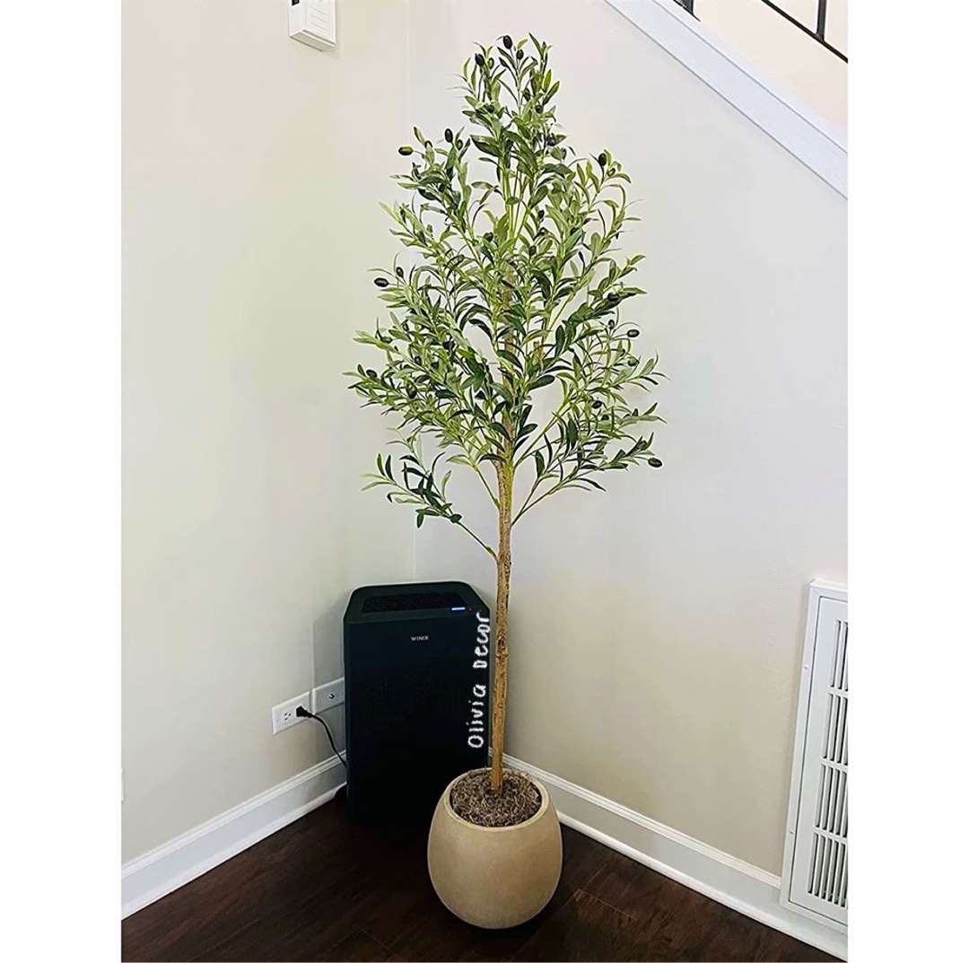 PRE-ORDER | Olivia Plant Decor, Furniture & Home Living, Home Decor ...